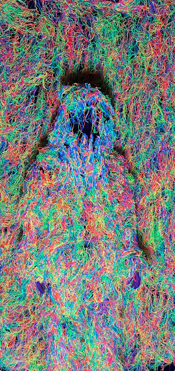 Creepy Moss Material Fluorescent HS114 – NightScream Studios