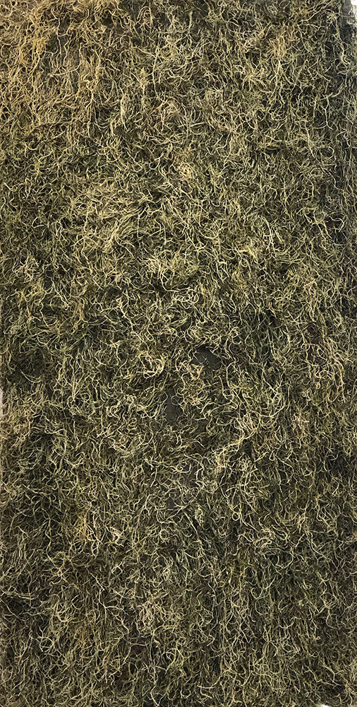 Creepy Moss Material Woodland HS112 – NightScream Studios